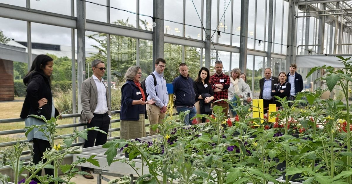 Software, Phenotyping, and Molecular Techniques Take Centre Stage at ...