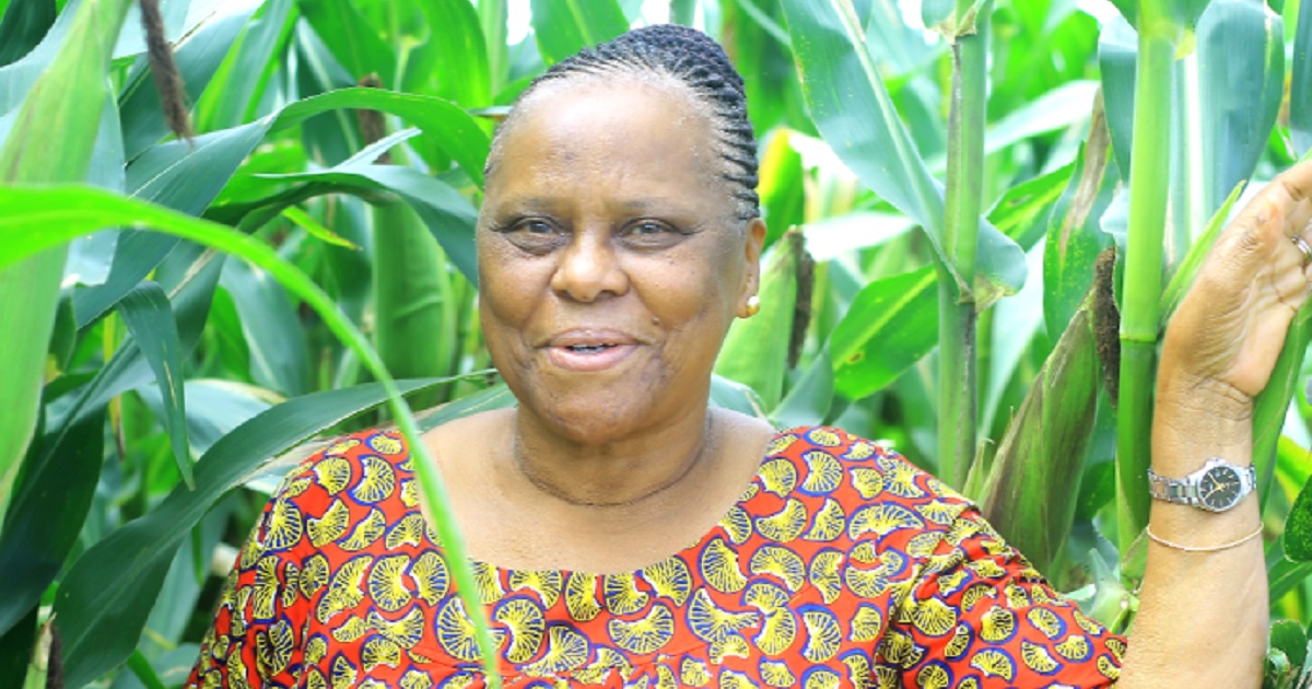 Braving the Odds: Dr. Mary Mgonja's Journey to Empower Smallholder ...