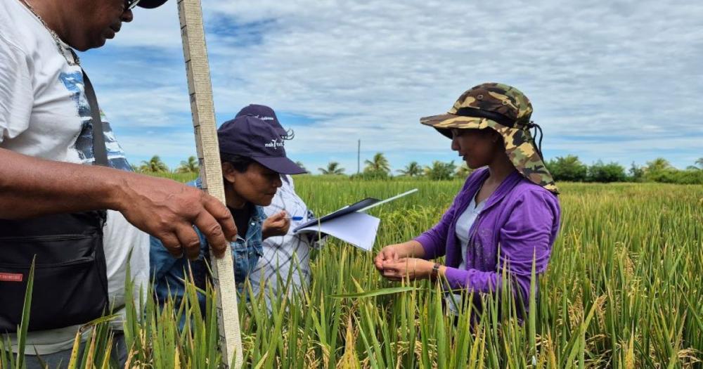 Test Guidelines for DUS Examination of New Plant Varieties