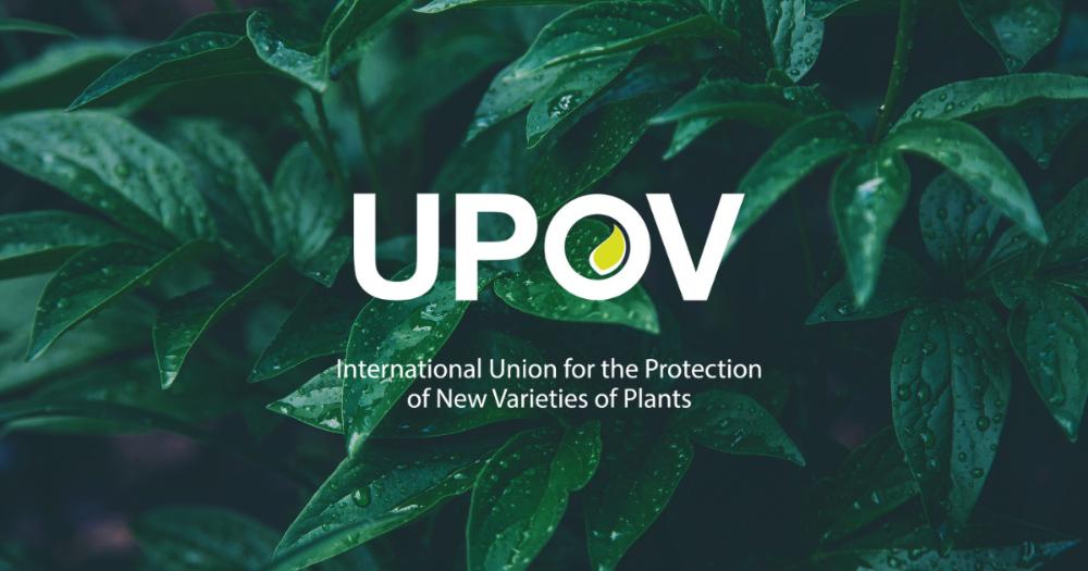 Home | International Union for the Protection of New Varieties of Plants