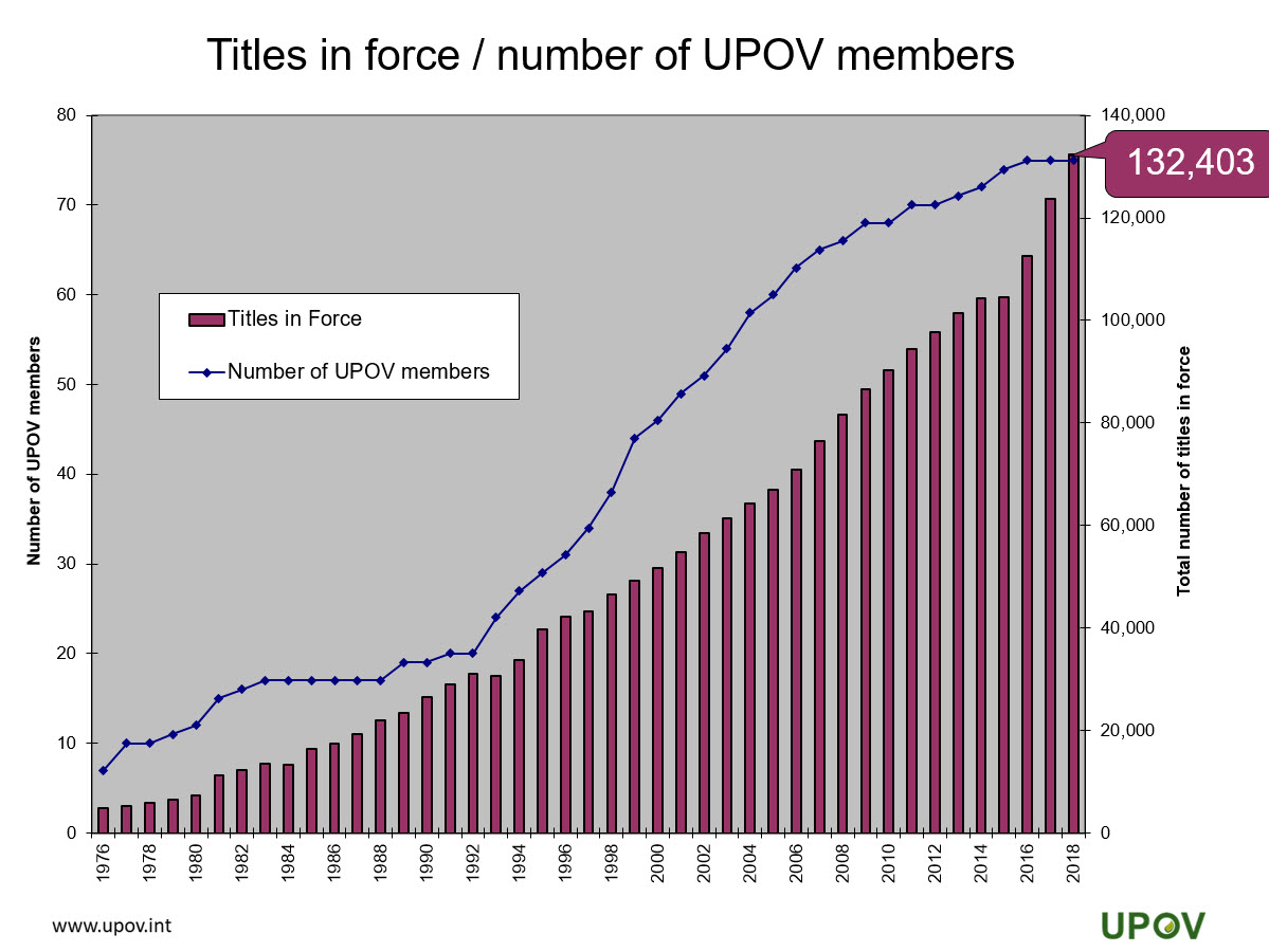 Estadísticas y datos sobre la protección de las obtenciones vegetales
