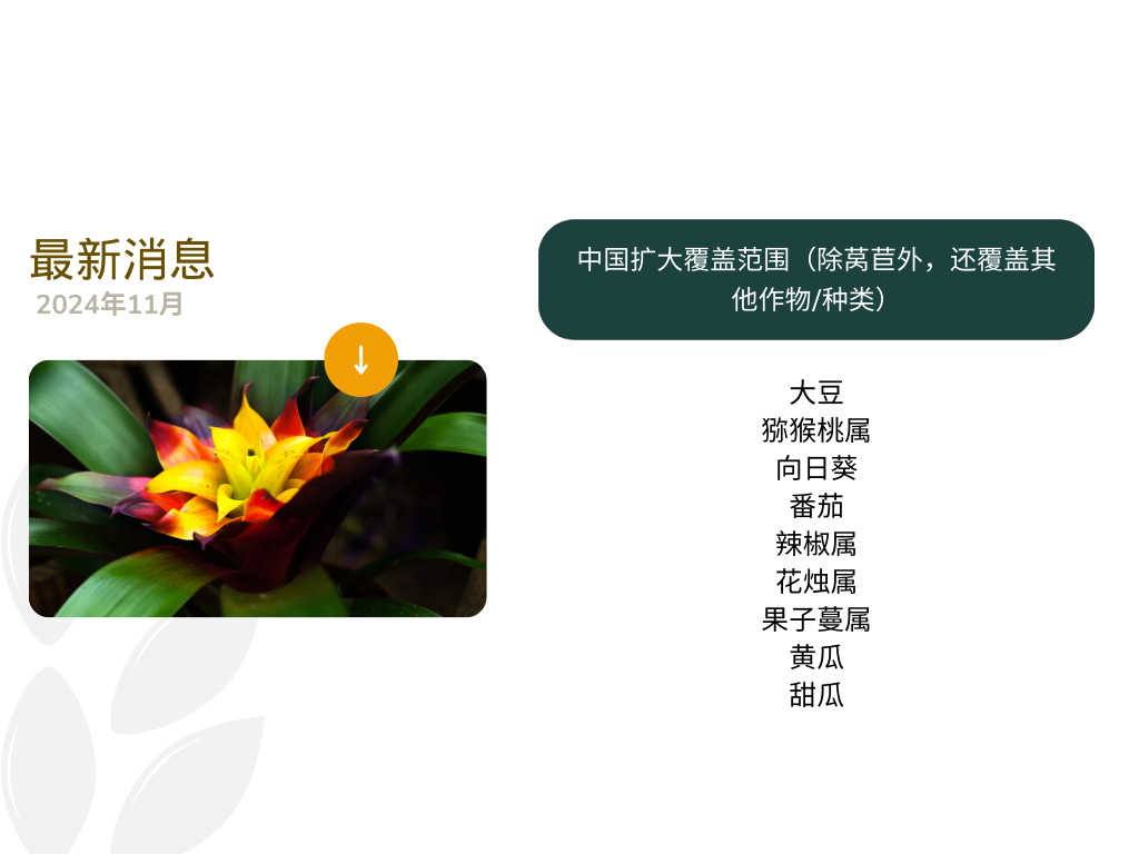 upovprisma_v8_update